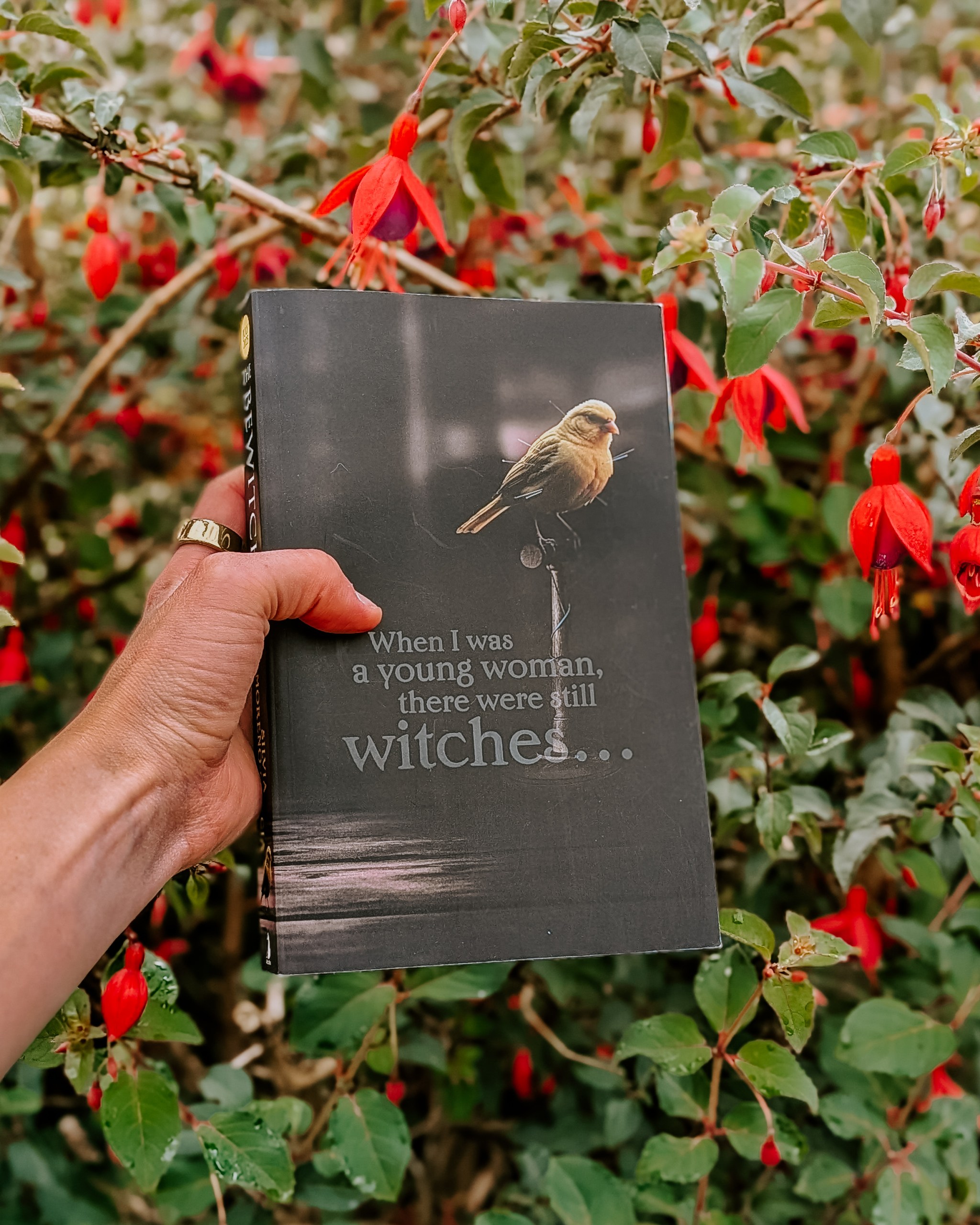 The Bewitching by Silvia Moreno-Garcia – Pages of Emma